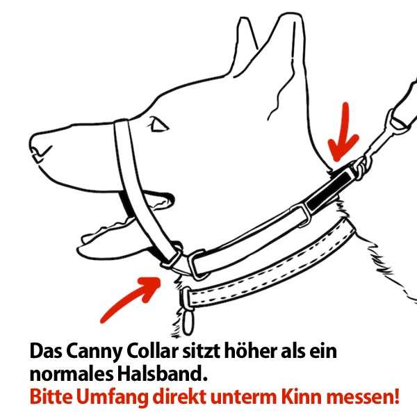 Canny collar store